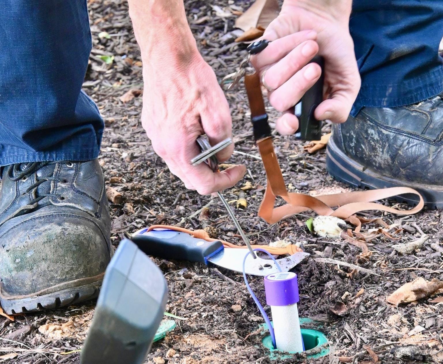 Termite Swarmers - Everything you need to know